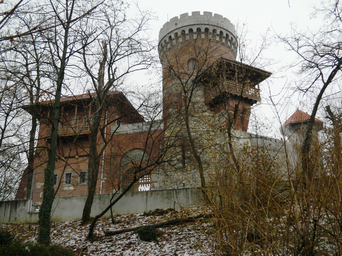 LA MULTI ANI, ROMANIA!: Castelul lui Vlad Tepes