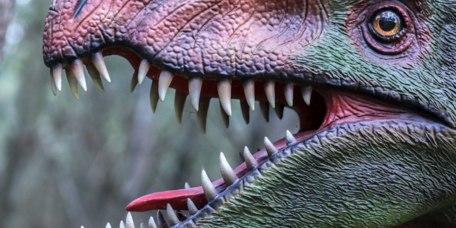 Hallan en Argentina restos de una nueva especie de dinosaurio saurópodo