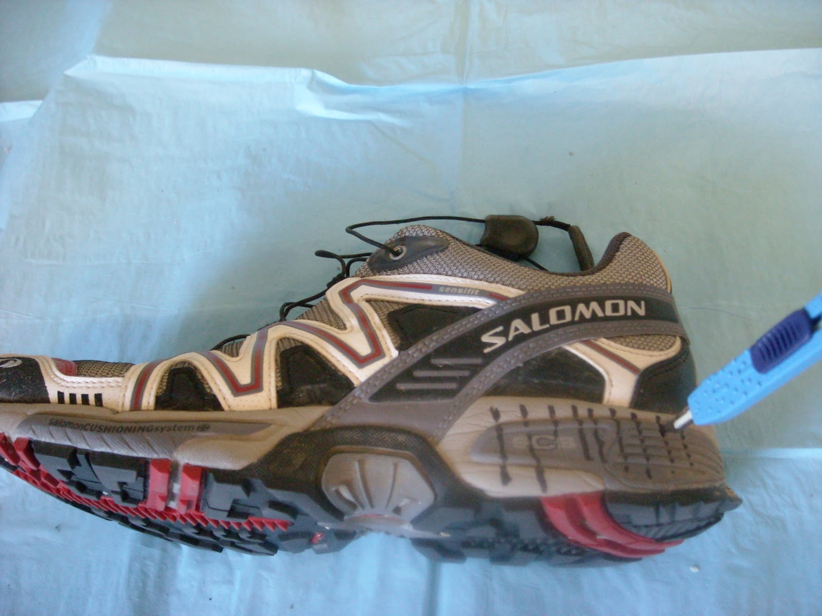 Foot and Ankle Problems By Dr. Richard Blake: 10 Common Shoe ...