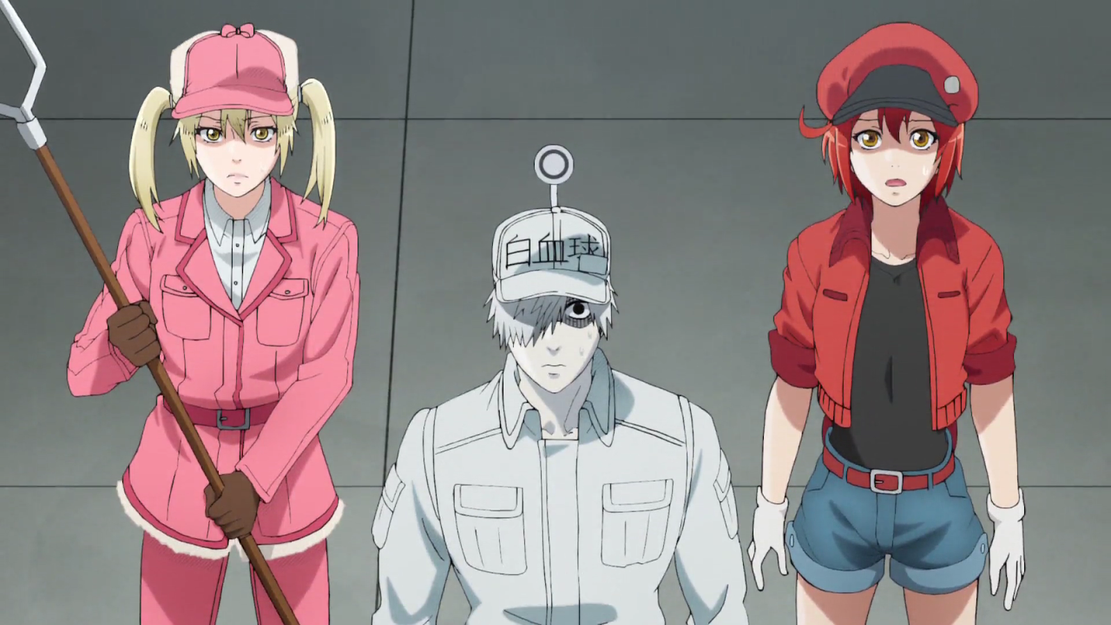 Vocalover: Hataraku Saibou (Cells at Work): Anime Penggambaran Kerja ...