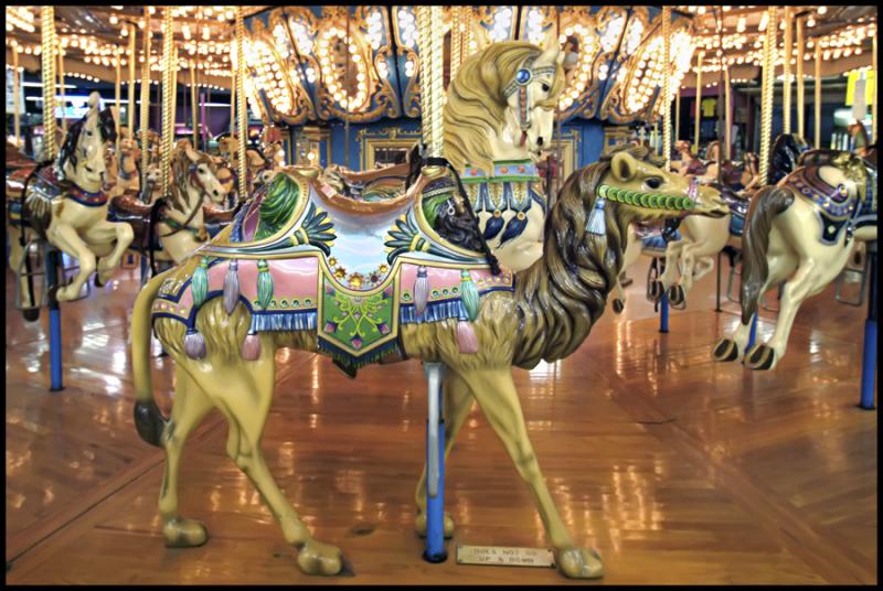 Every Day Is Special: July 25, 2012 - National Merry-Go-Round Day
