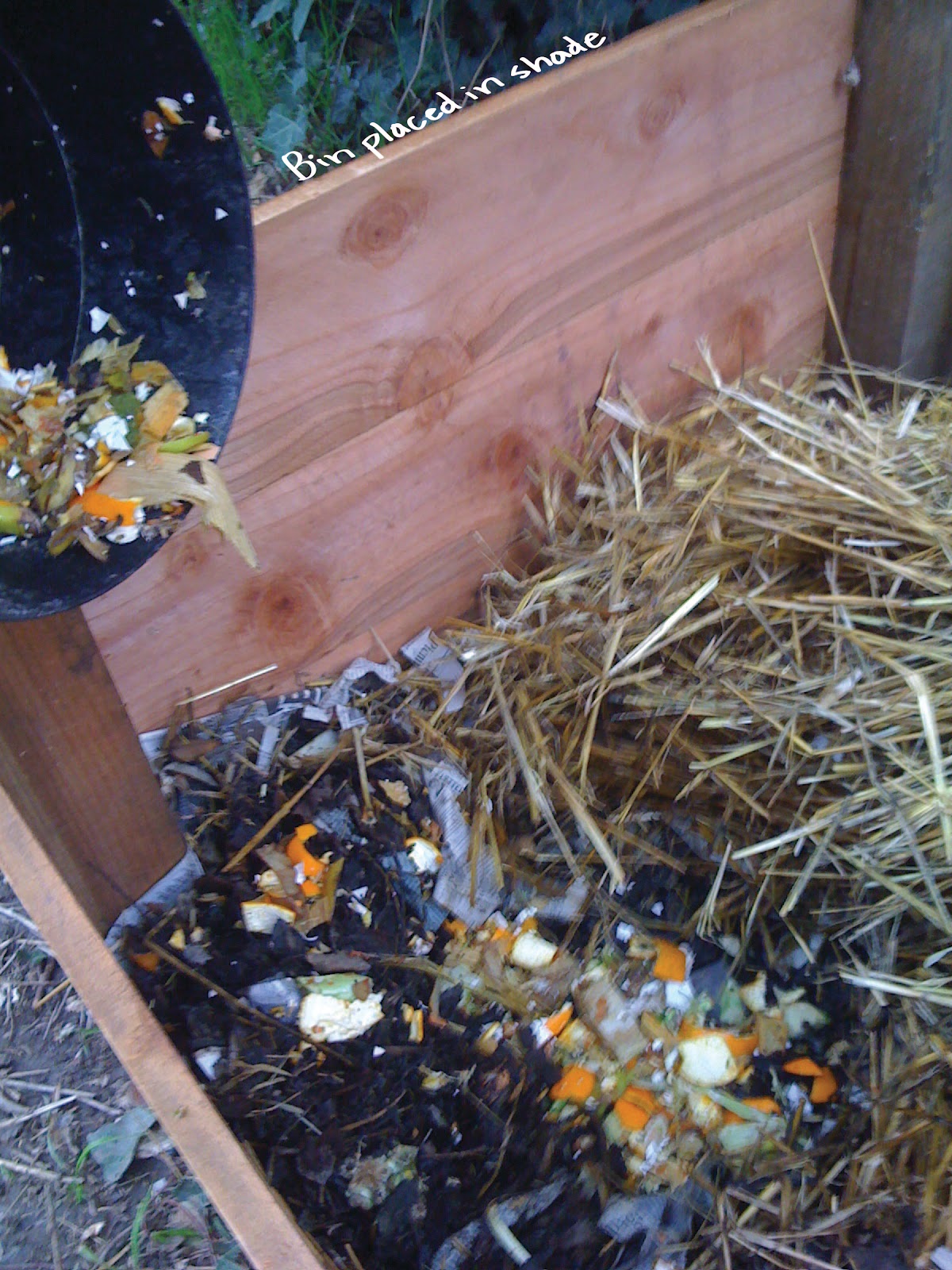 Edible Landscape Solutions: Worm Farming