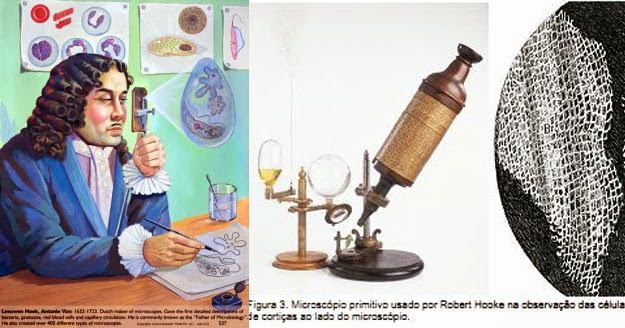 BioFerinha: Como surgiu e quem descobriu o microscópio?