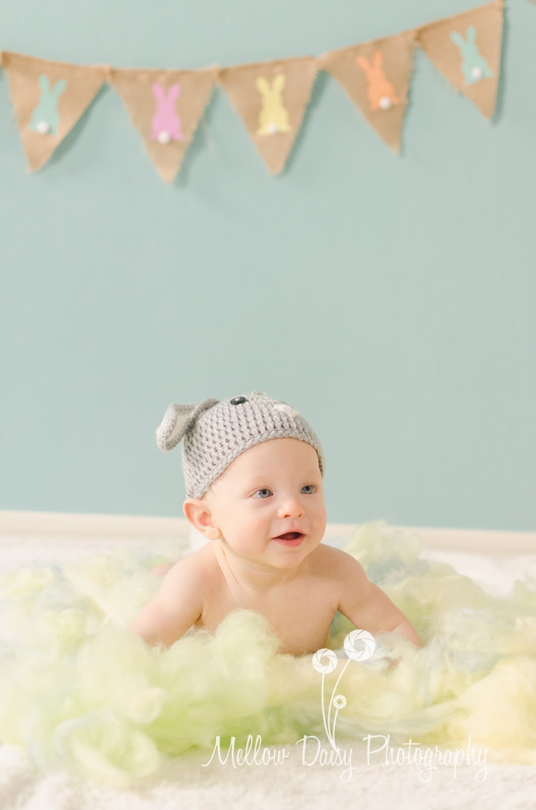 Mellow Daisy Photography: Killian