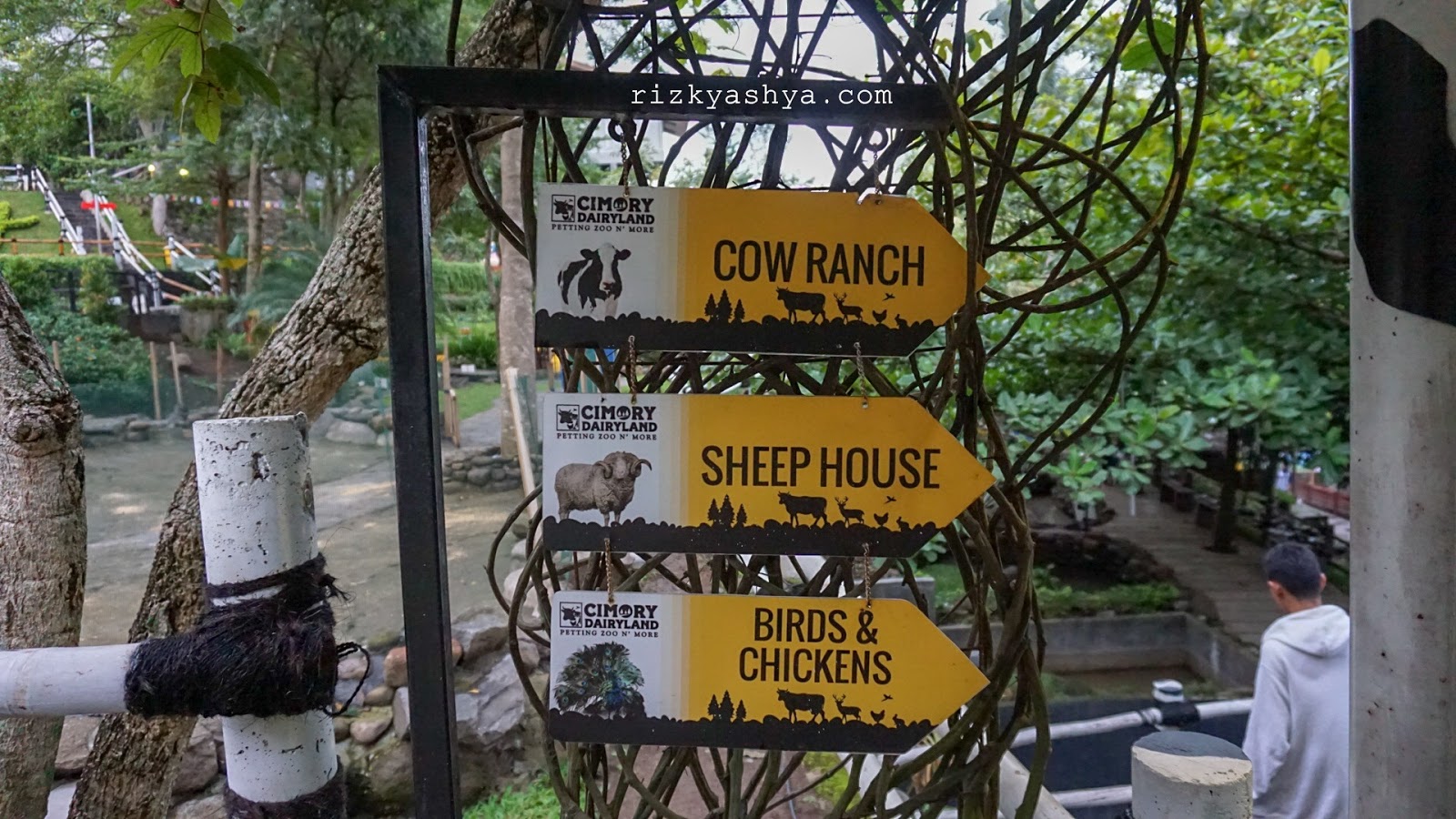 Mampir ke Cimory On The Valley Bawen, Wisata Edukatif Keluarga Murah ...