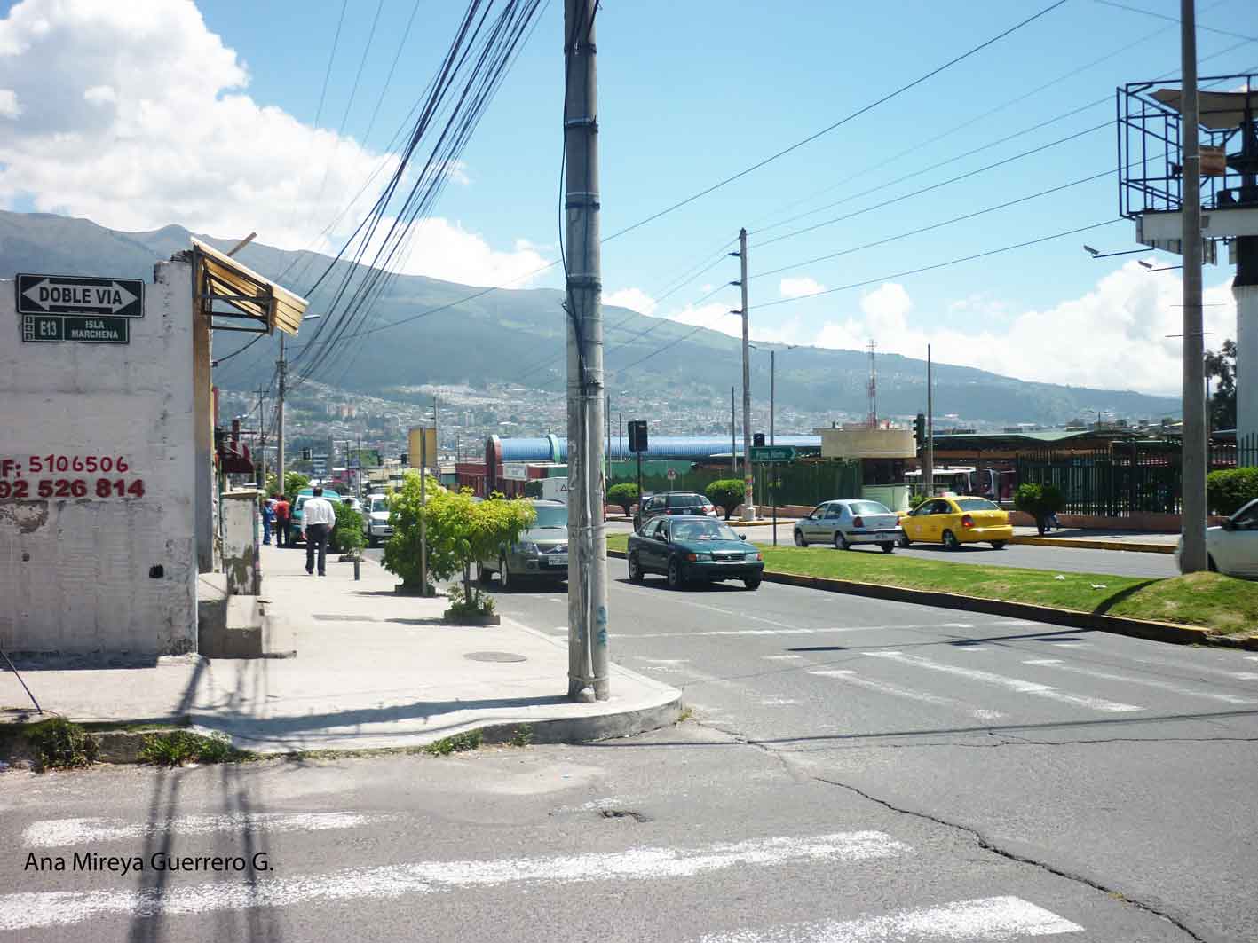 Ecuador: personajes y especies (Galápagos y Continente): Galápagos en ...