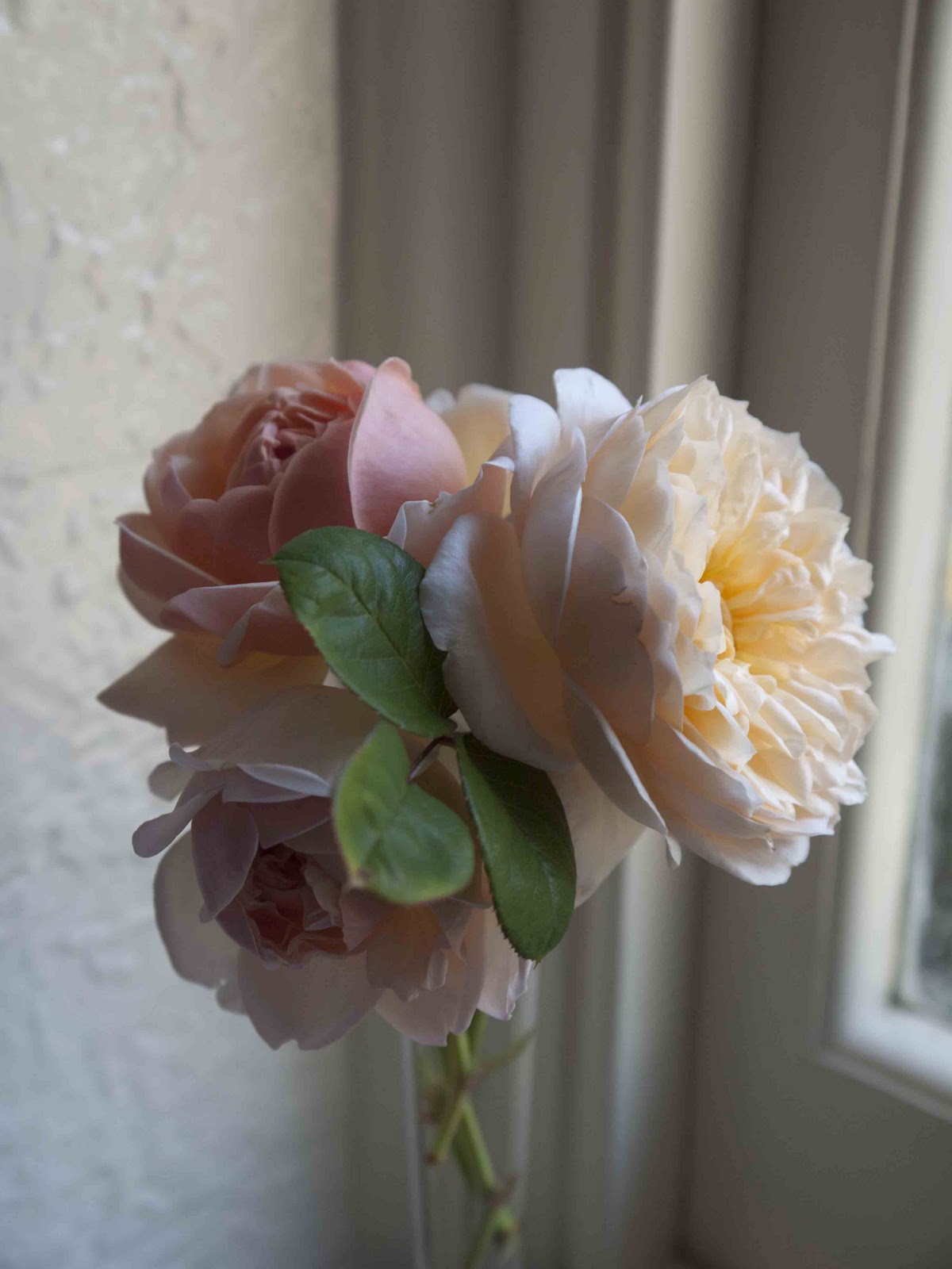 Remnant Gleaning: just roses