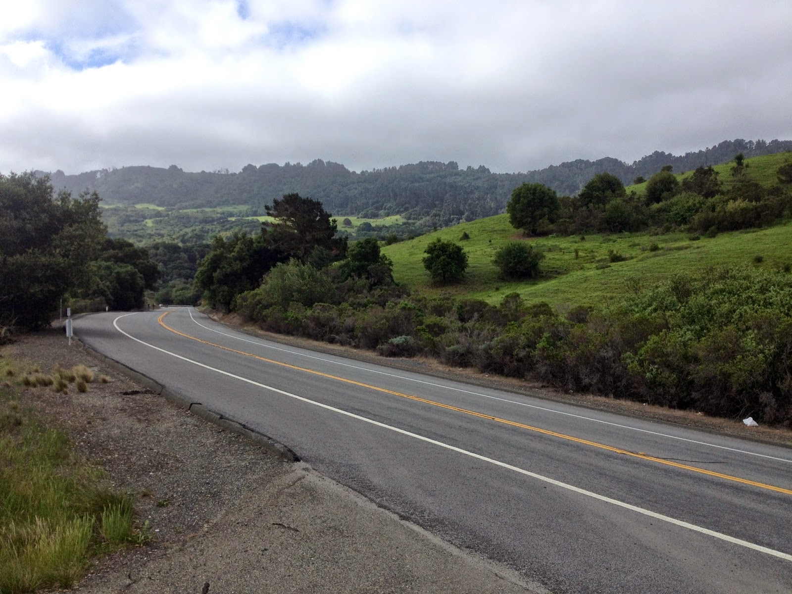 tangled sprites: 9, 8: Back to Exploring