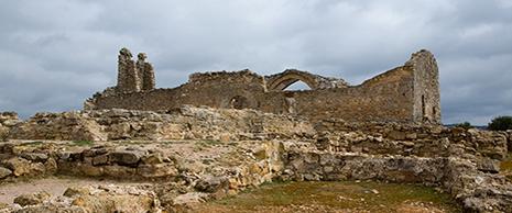 ArcheoMind: El Parque Arqueológico de Recópolis (Guadalajara)