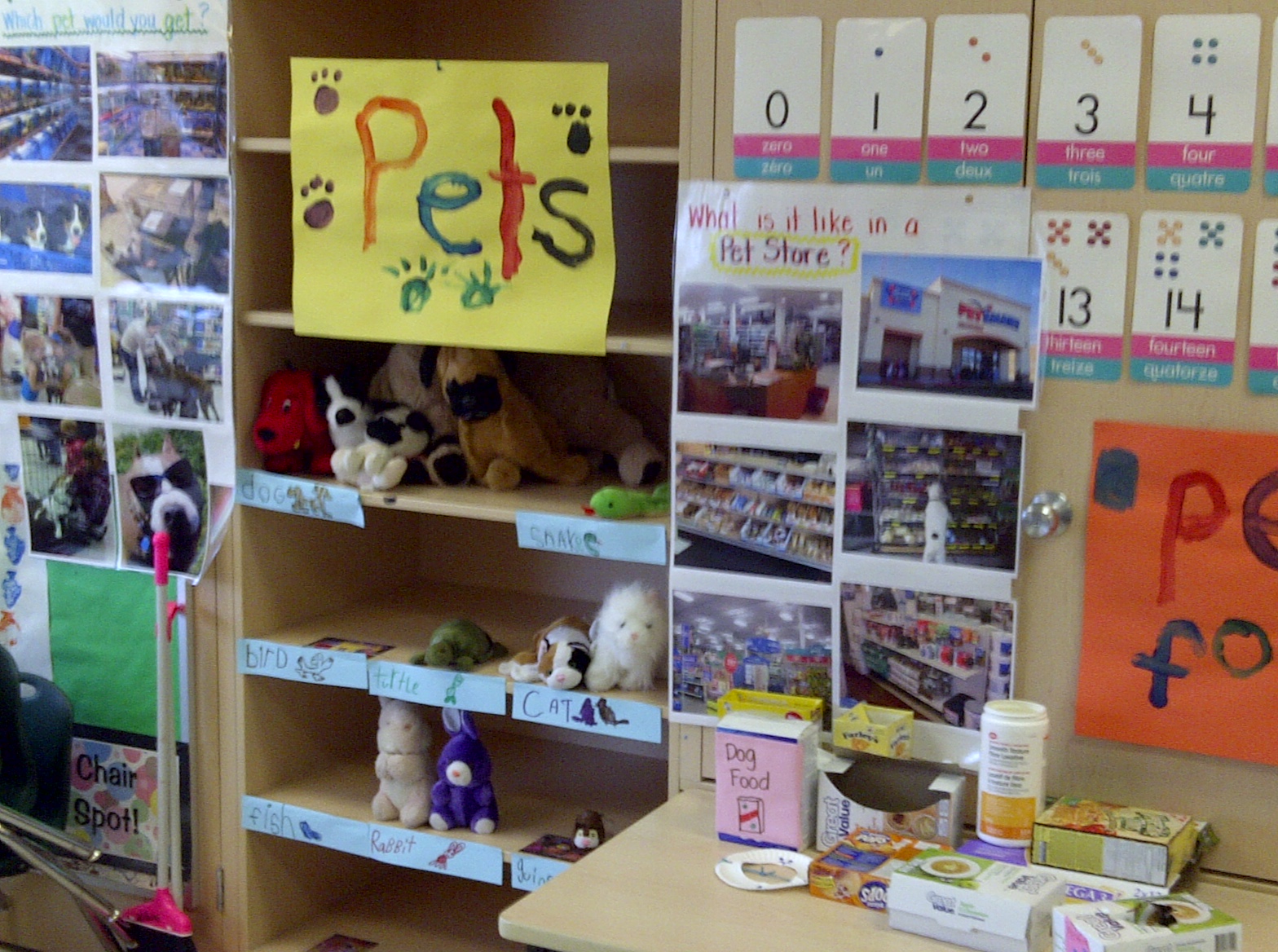 Mr. Wilkins' Kindergarten: The Hewson Pet Shop (my last one, at Hewson ...
