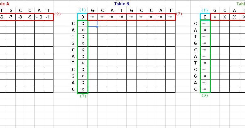 AnyThing Tutorials: Bioinformatics: Gotoh Algorithm