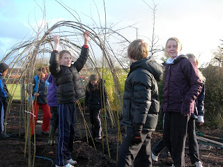 Schola Foris: Willow Projects