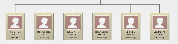 Wester Elkins Family Tree: Wester Family Tree 1771