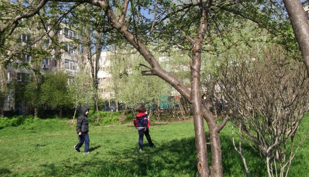 CLASA NOASTRĂ: [ FOTO ] In curtea scolii