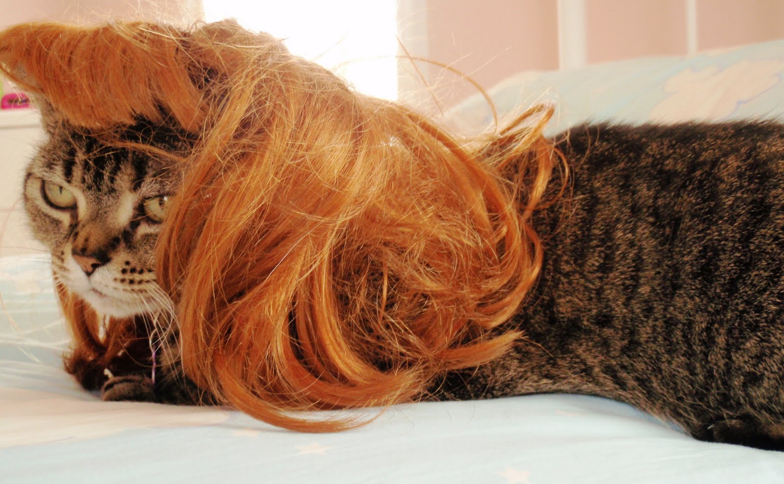 The Chronicles of Cardigan: 'In the throes of a mid-life crisis, Tigger ...