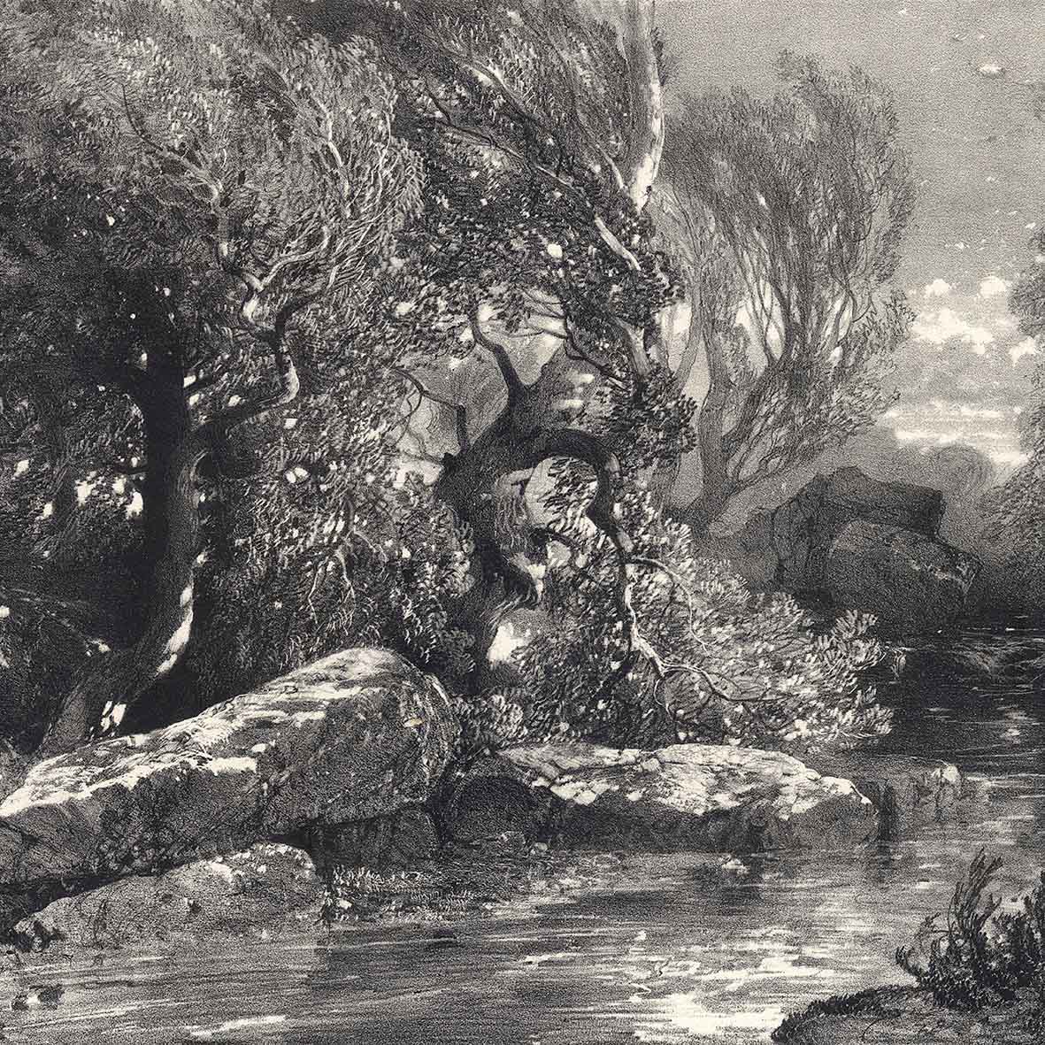 Prints and Principles: Alexandre Calame’s lithograph, “A Brook near ...