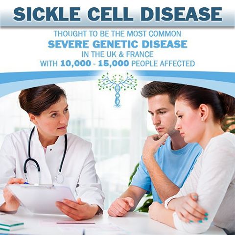 Cord Blood Stem Cell Processing & Storage - Stemology.co.uk