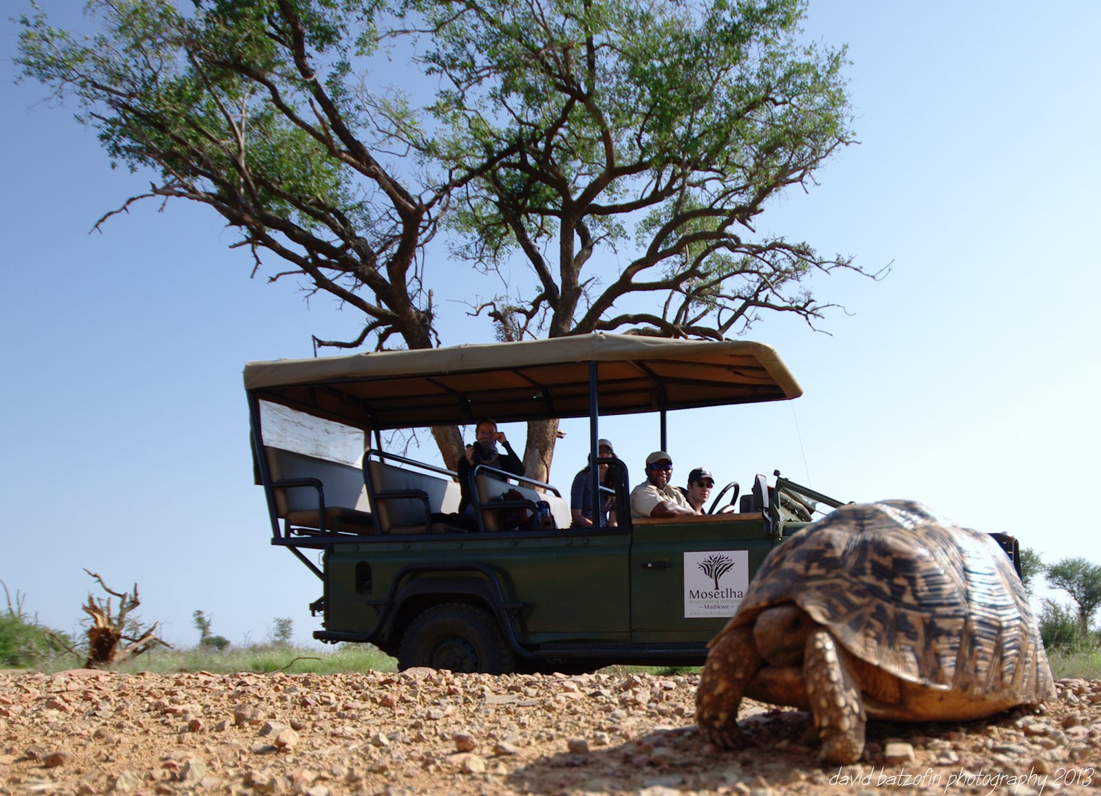 Mosetlha Bush camp, before and after... - Travel & Things