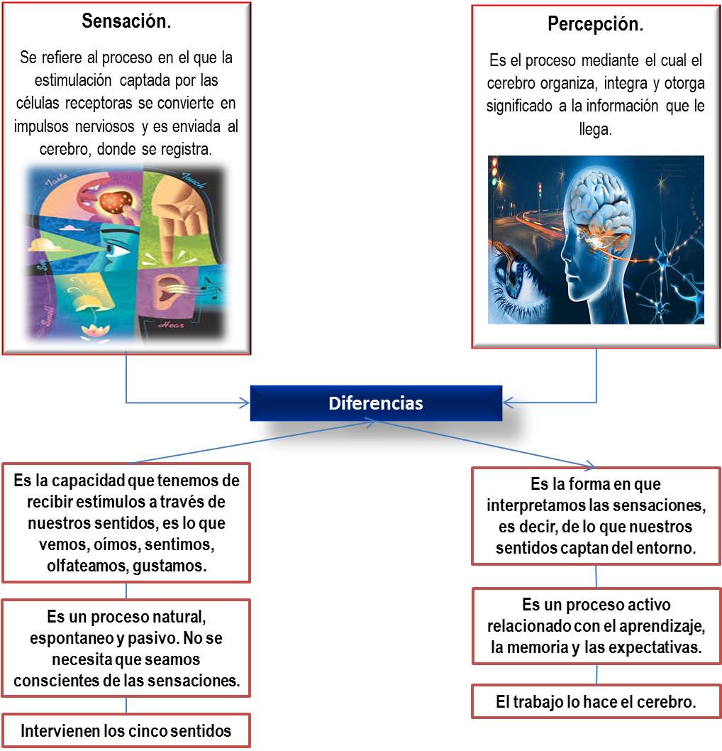 "Los maravillosos secretos de nuestros sentidos y nuestro conocimiento ...