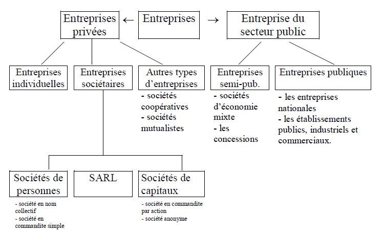 Management S1 : Chapitre 2 : Définition et classification des entreprises