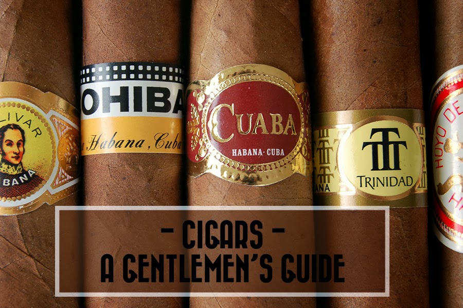A Gentlemen's Guide to Cigars