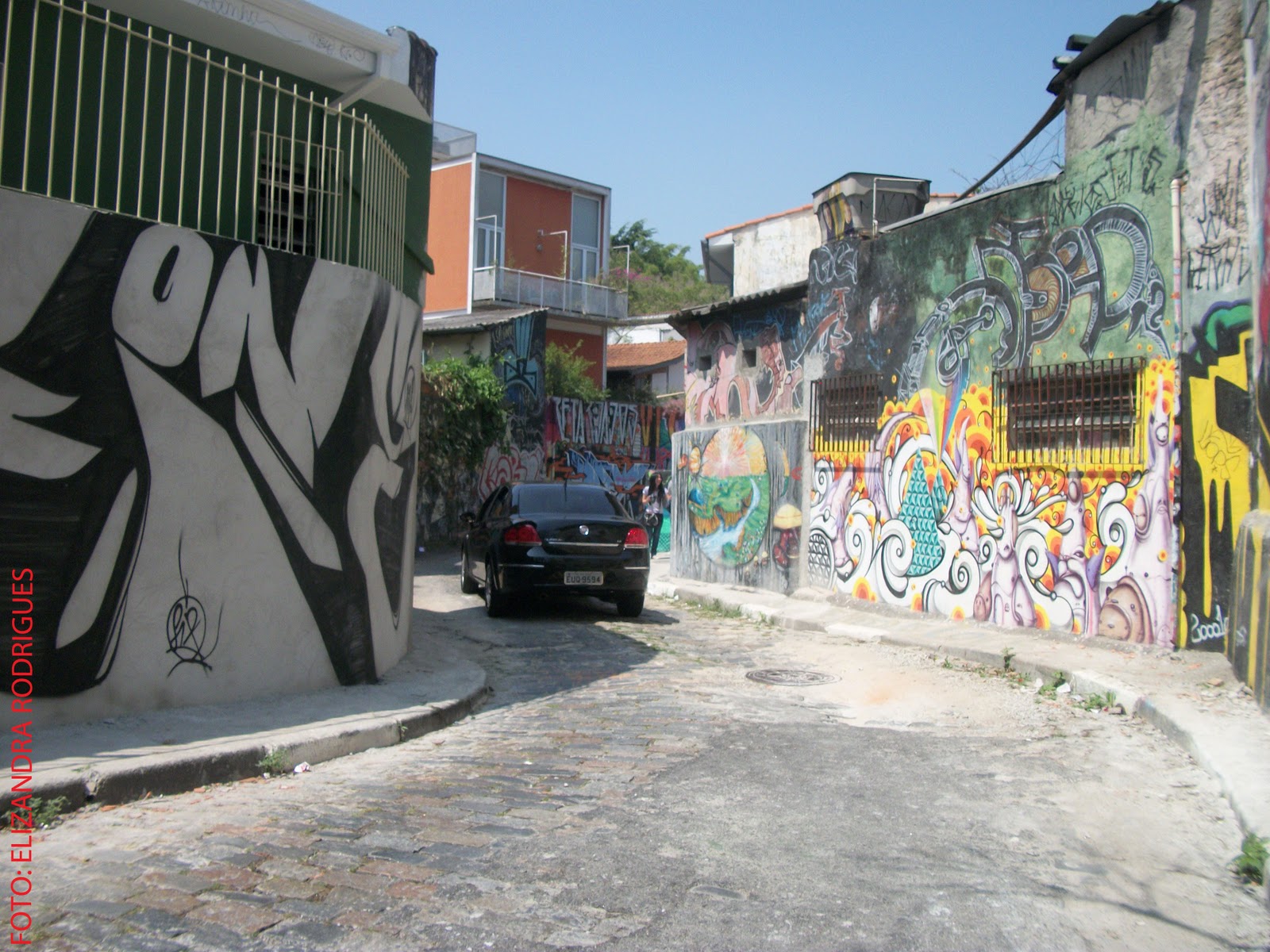 O Seu Dia Em Foco: A ARTE DO GRAFITE NAS RUAS DE SÃO PAULO.