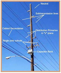 Electrical and Electronics Engineering: Distribution primaries and ...