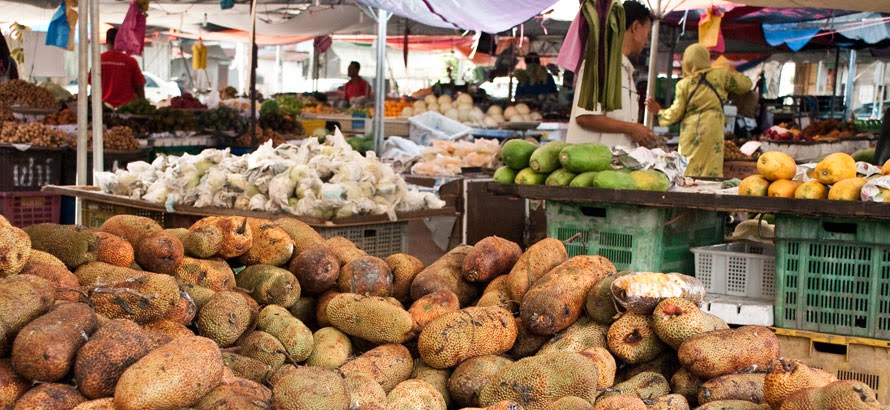 The impacts of food production on biodiversity