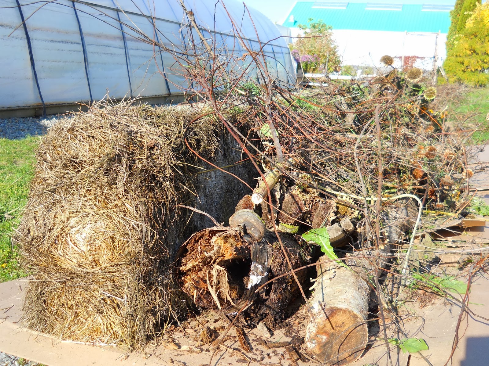 Sepp Holzer's Permaculture