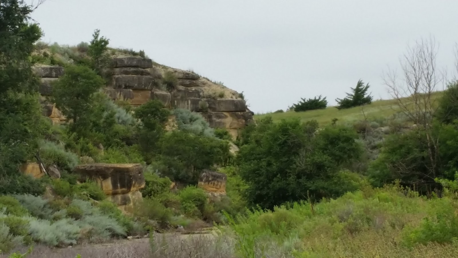 Shifting Gears: Cedar Bluff State Park, Kansas