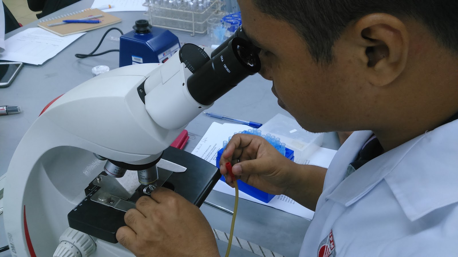 Floratic: ISOLATION OF MICROALGAE