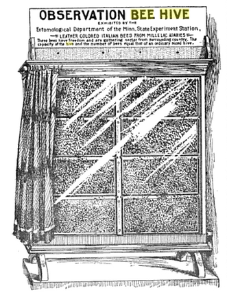 Bee Hive Journal - Help and advice for beekeepers