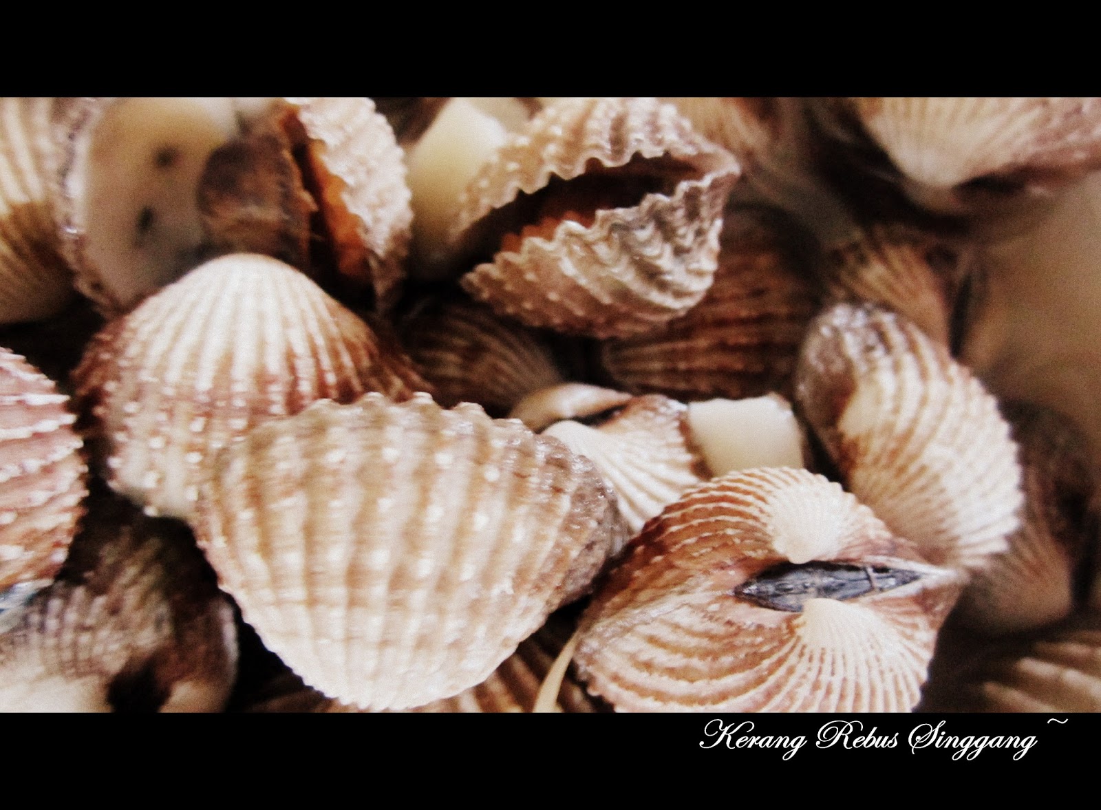 CooKiNG wITh LoVe...: Kerang Rebus Singgang~