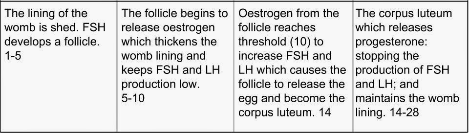 A2 Biology: The mammalian oestrous cycle is controlled by FSH, LH ...