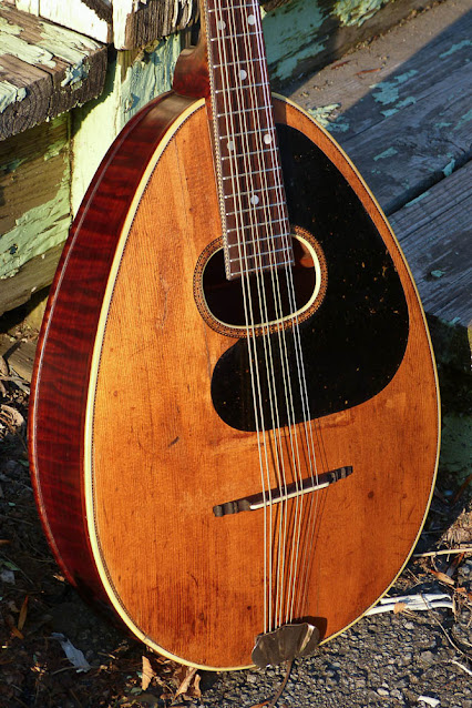 1910s Weymann Mandolute Mandola (Octave Mandolin Conversion)