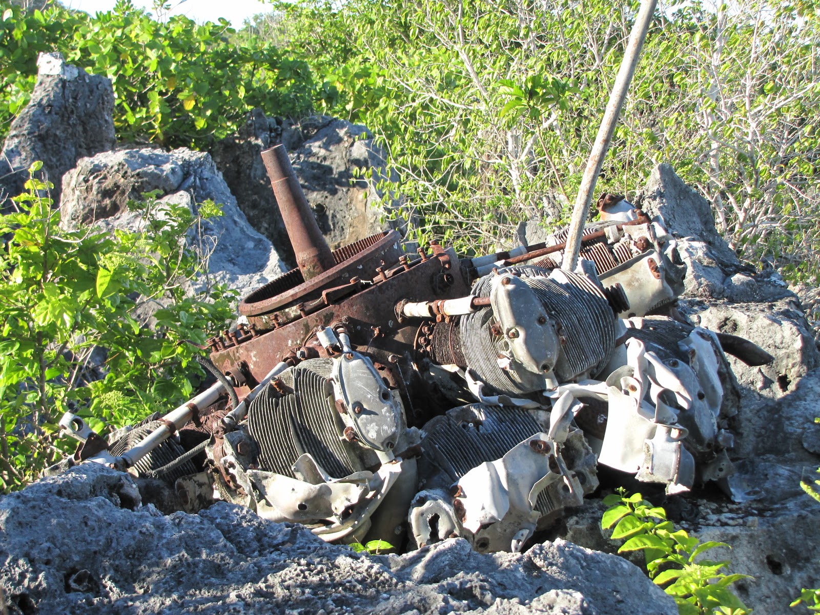The Weary Traveller: Nauru guns