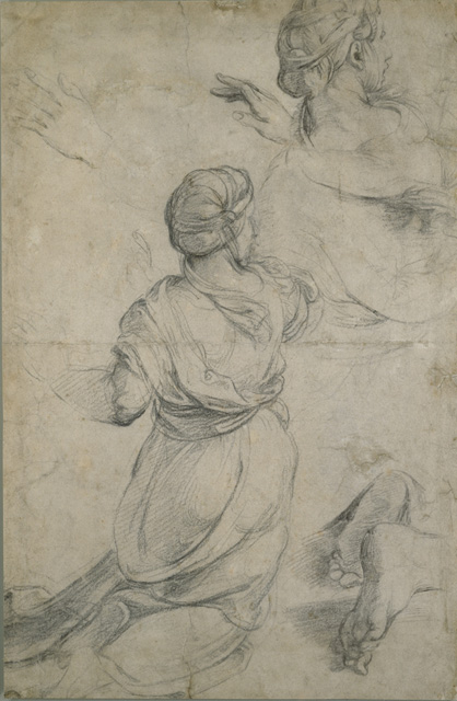 Spencer Alley: Drawings by Raphael, 16th century