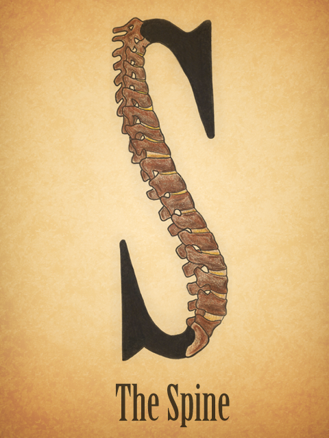 Typ-Art-Graphy: The Spine