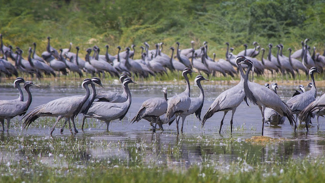 Living Temples: Holy Ramayan Retold 1