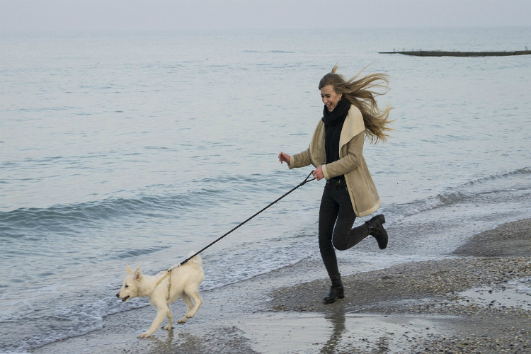 Consejos para correr con tu perro - Animalissimo