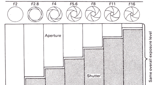 Mr.Wilson's Satellite Digital Photography Course: Principles of ...