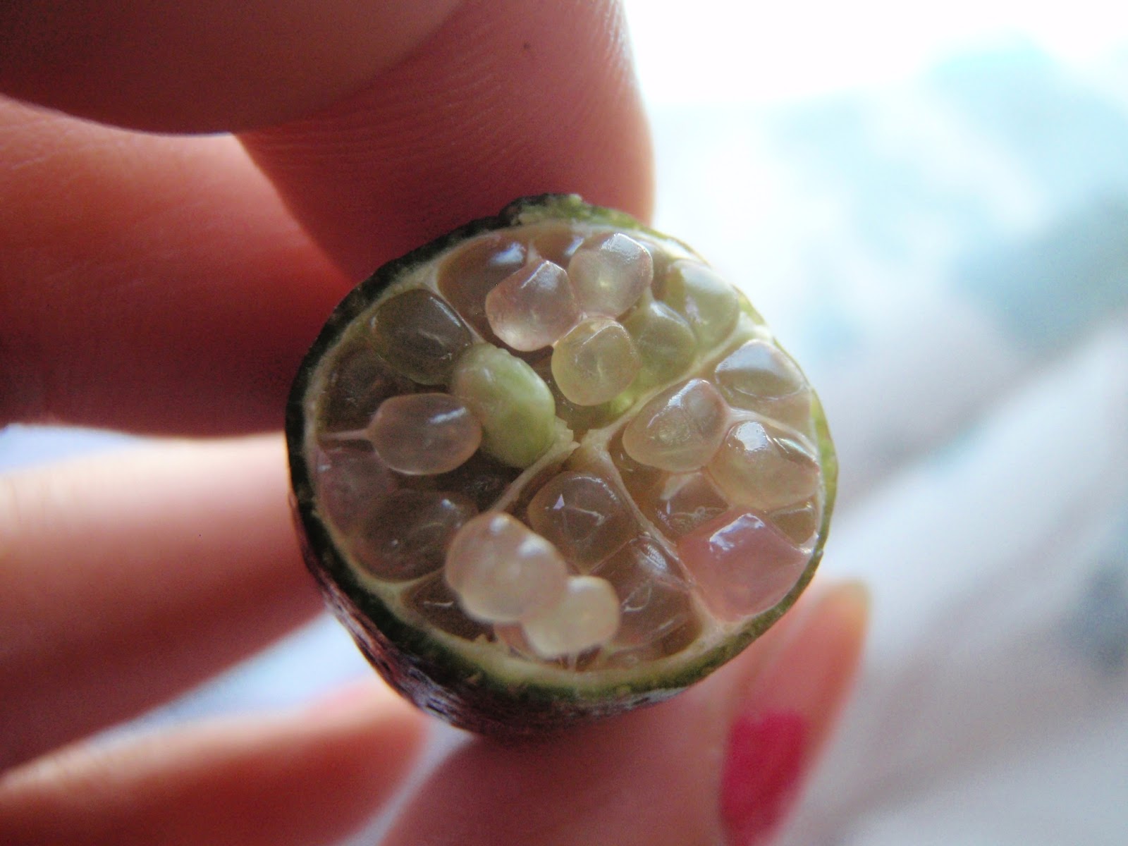 Home Sweet Kitchen & Garden.: NATIVE FINGER LIME