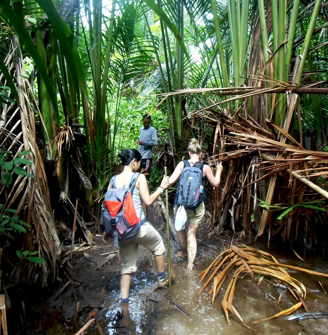 mentawai tribe siberut islands ~ EBAY BUDGET SURF CAMP MENTAWAI INDONESIA