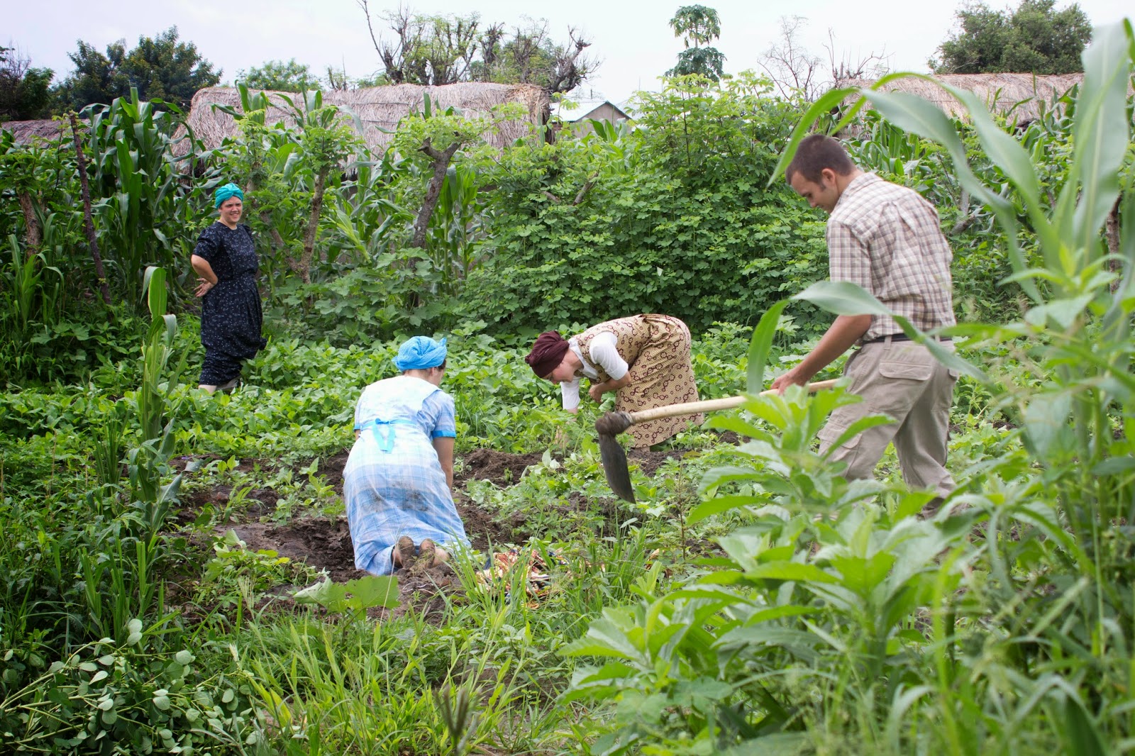 Shining Vessels: Impressions of Ivuna