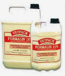 Formalin Sebagai Pengawet Makanan Beracun dan Berbahaya ~ MEDIA ...