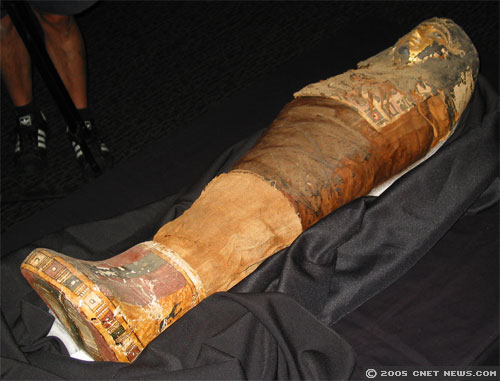 13 FACTS ABOUT MUMMIES!