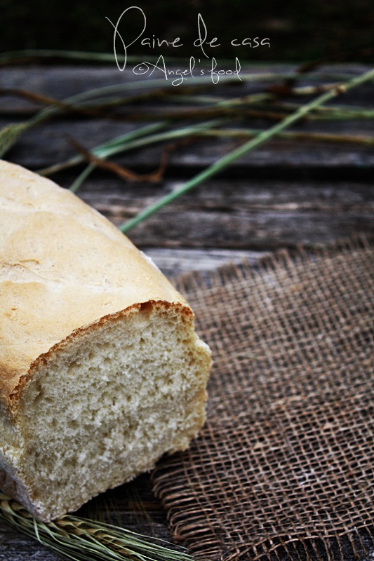 Angel's food: Painea de casa...este cea mai buna!!!