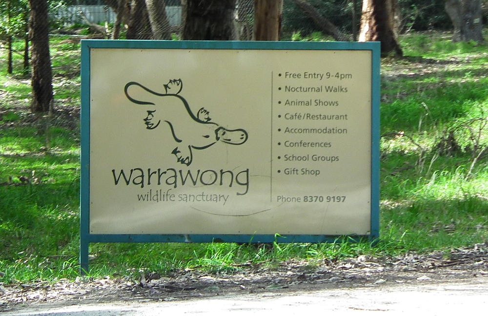 Meander to the Max: A Farewell to Warrawong, Part 1