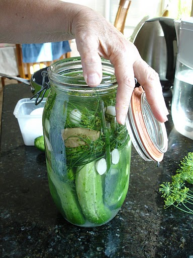 Making Pickles, Canning*