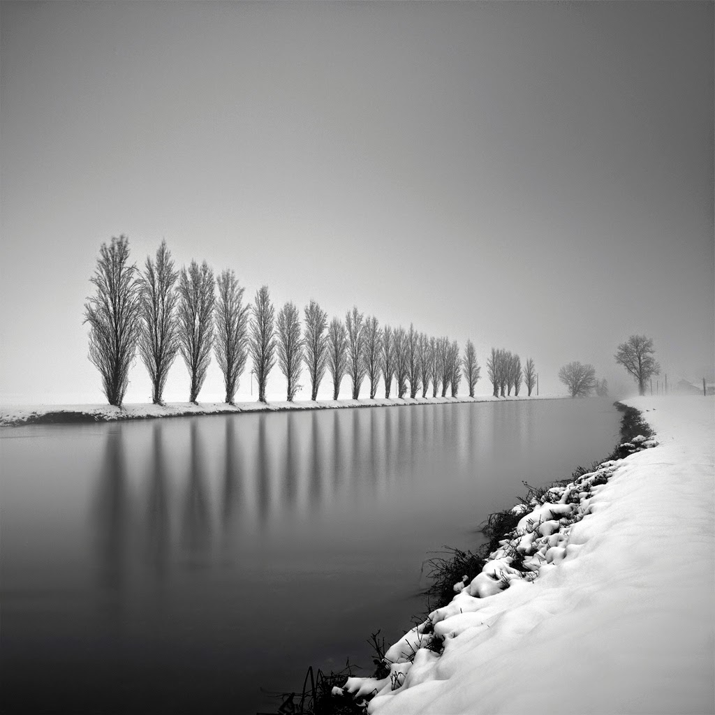 design-dautore: Tree Photography by Pierre Pellegrini